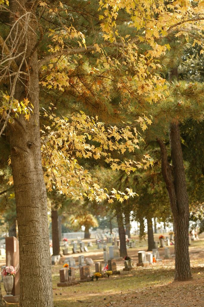 Locations Hub - Mount Olivet Cemetery - Circus Cemetery - Showman's Rest