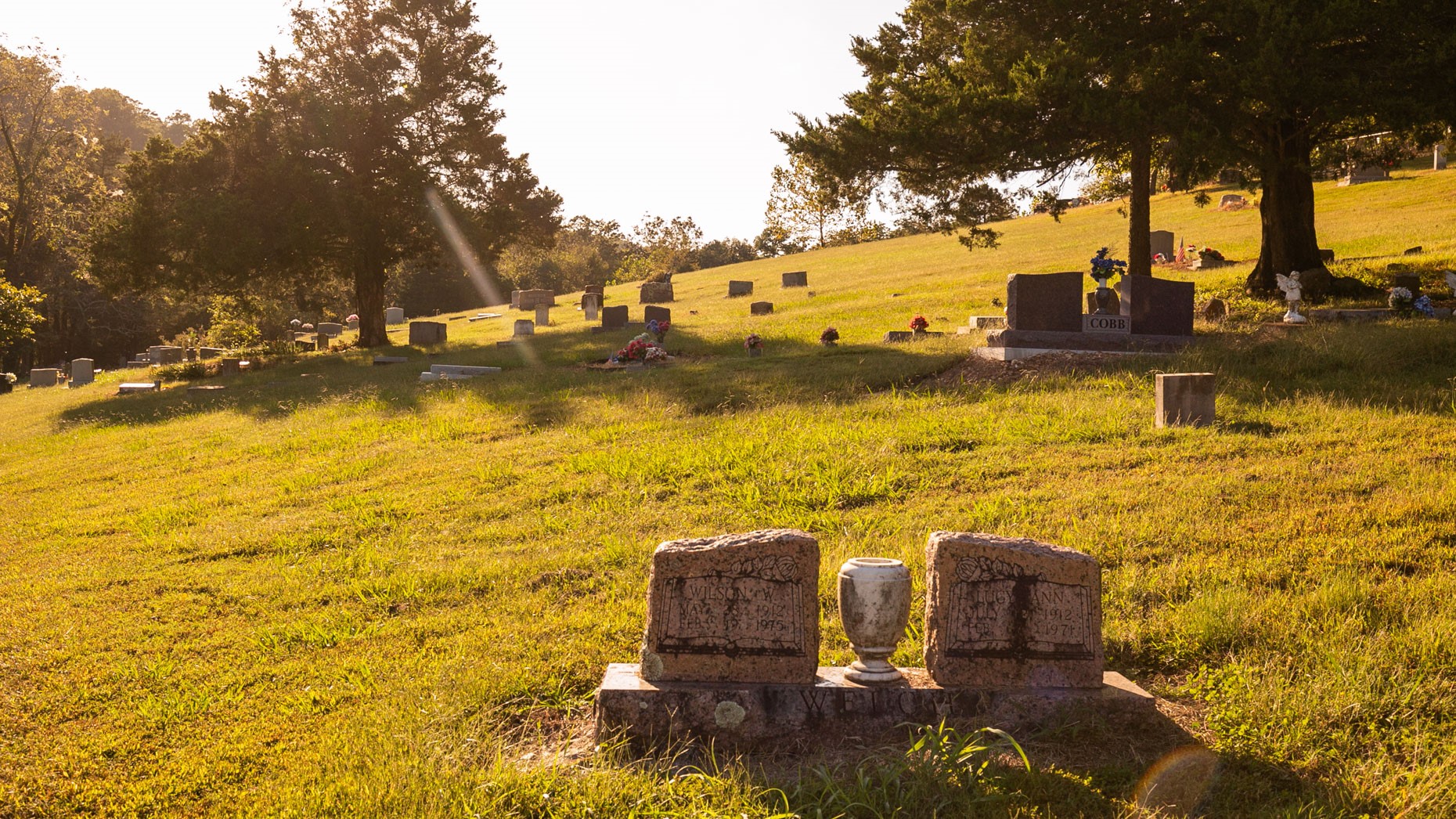 Locations Hub - Molly Field Cemetery
