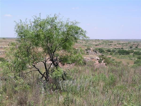 Locations Hub - Sandy Sanders Wildlife Management Area