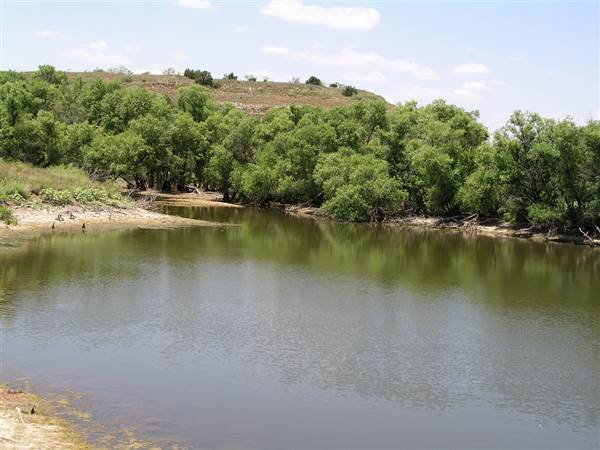 Locations Hub - Sandy Sanders Wildlife Management Area