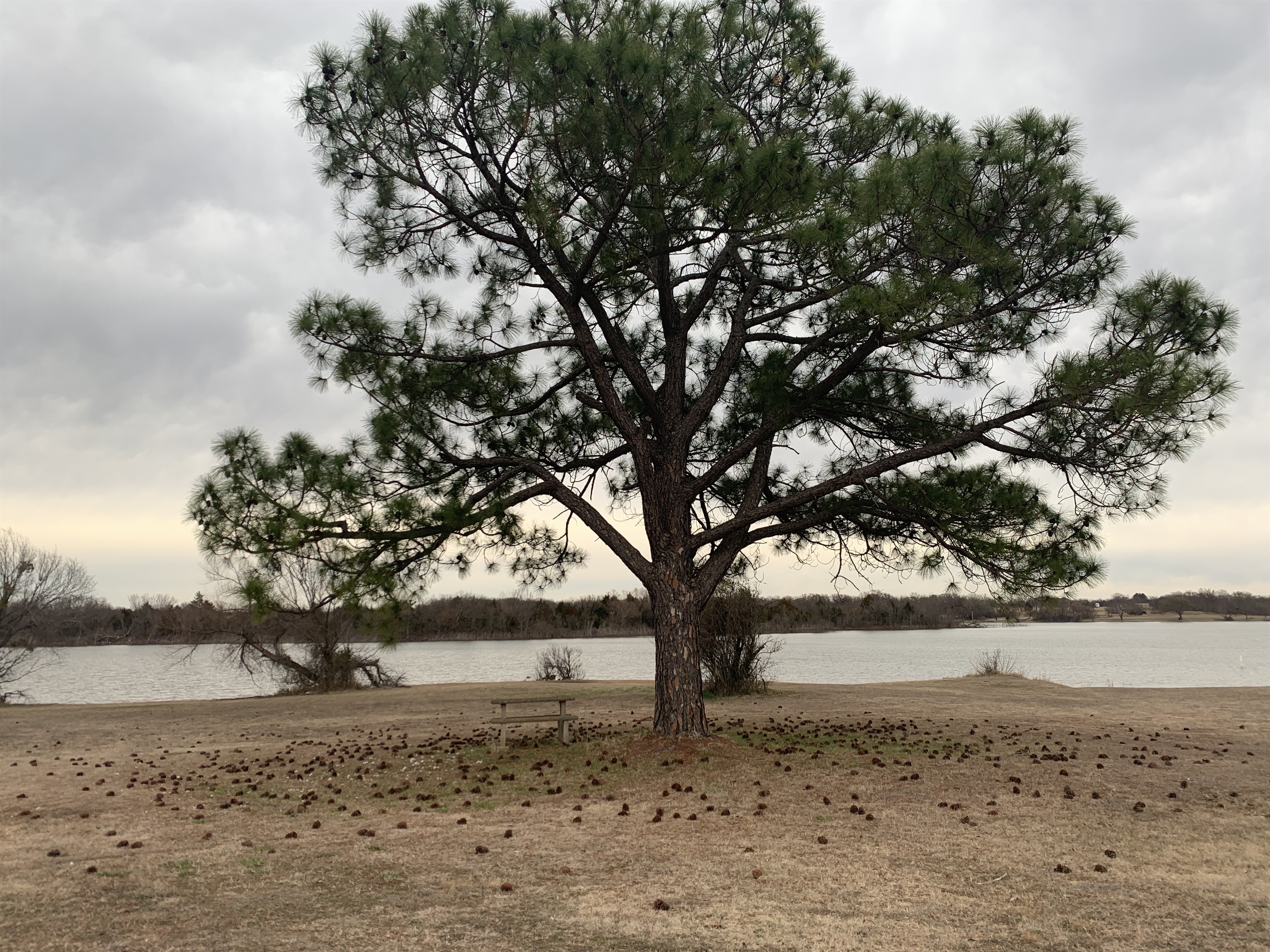 Locations Hub - Elmore City Lake and Recreation Area