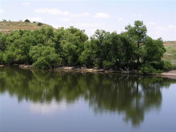 Locations Hub - Sandy Sanders Wildlife Management Area