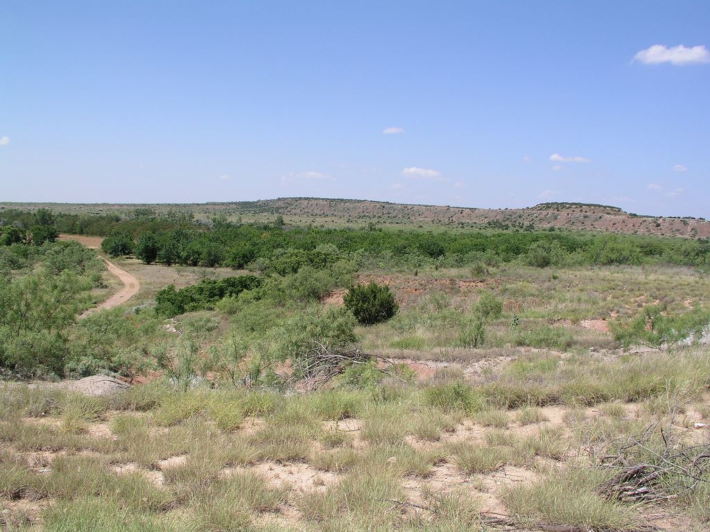 Locations Hub - Sandy Sanders Wildlife Management Area