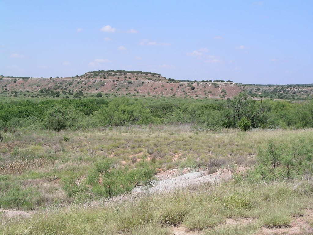 Locations Hub - Sandy Sanders Wildlife Management Area